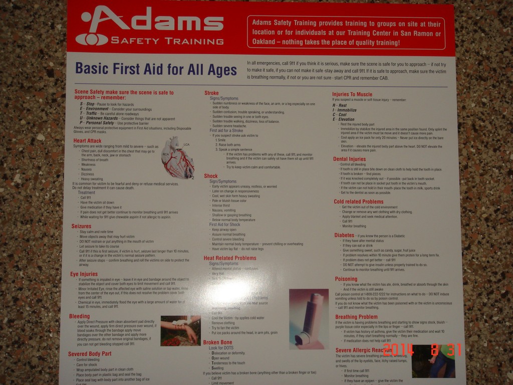 First Aid Poster for Infant, Child & Adults | Adams Safety Training